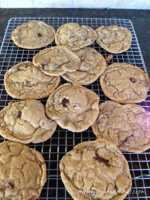 Halloween: Creepy Crawlie Chocolate Chip Cookies - Easy Peasy Meals