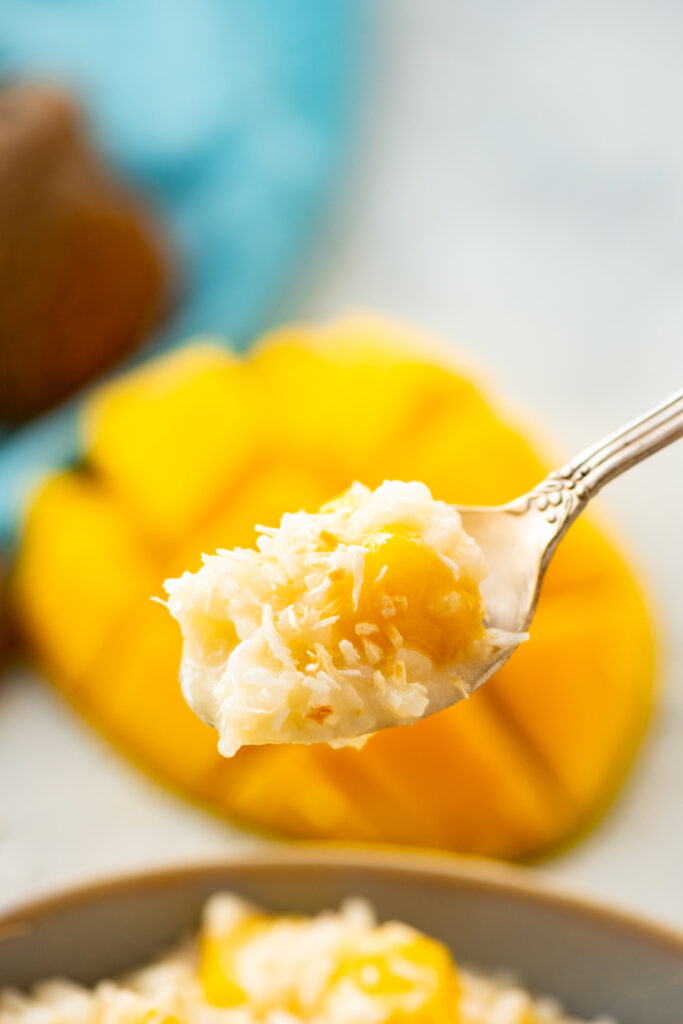 Coconut Mango Rice Pudding (Dairy Free) - Easy Peasy Meals
