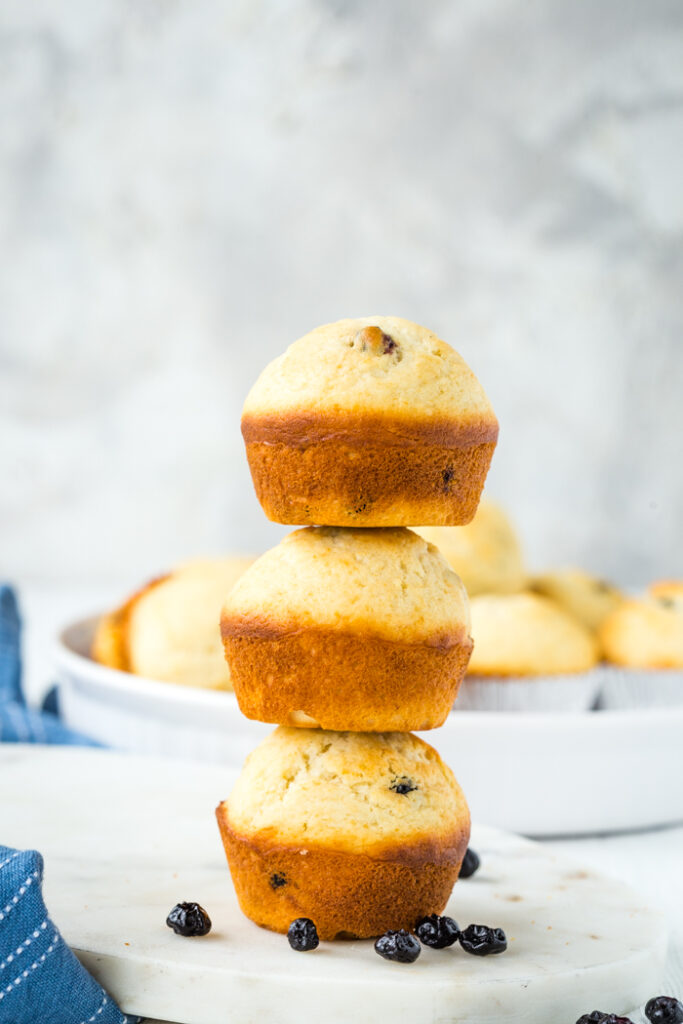 Dried Blueberry Muffins - Easy Peasy Meals
