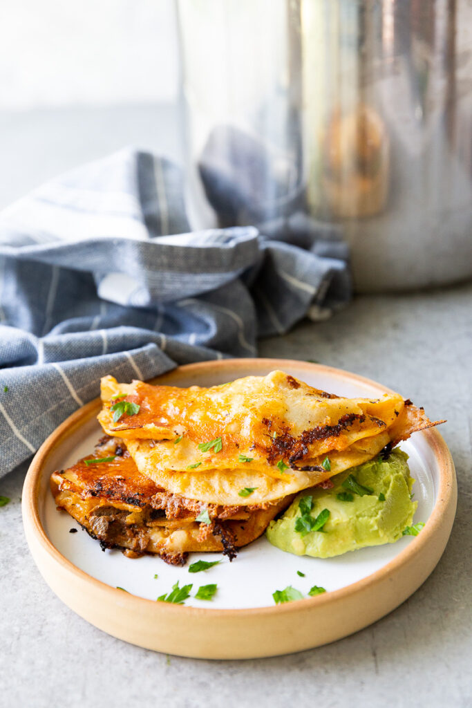 Easy Instant Pot Birria - Easy Peasy Meals